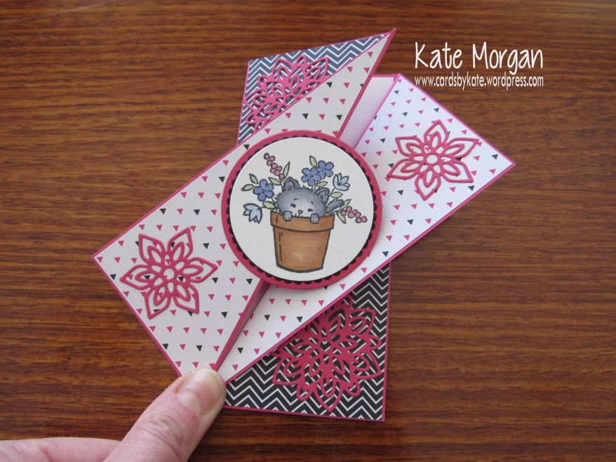 Diagonal Gate Fold card – Kate Morgan, Independent Stampin Up ...