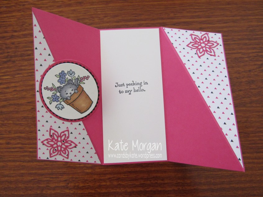 Diagonal Gate Fold card – Kate Morgan, Independent Stampin Up ...