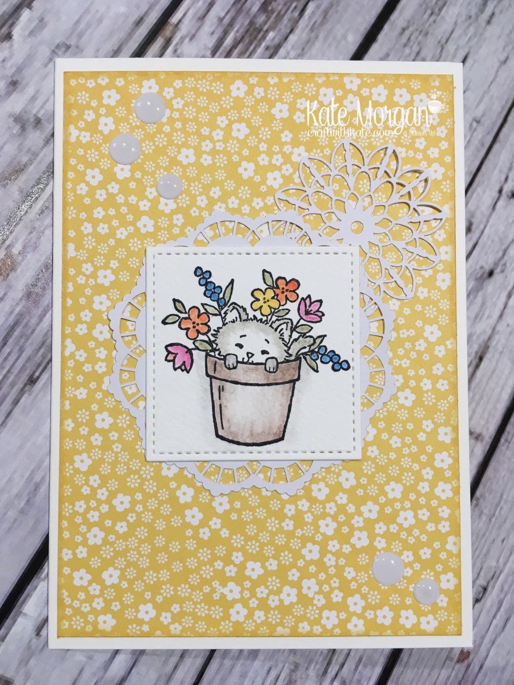 Pretty Kitty – Kate Morgan, Independent Stampin Up!® Demonstrator ...