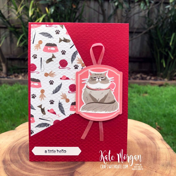 Playful Pets 6″ x 6″ one sheet wonder – Kate Morgan, Independent ...