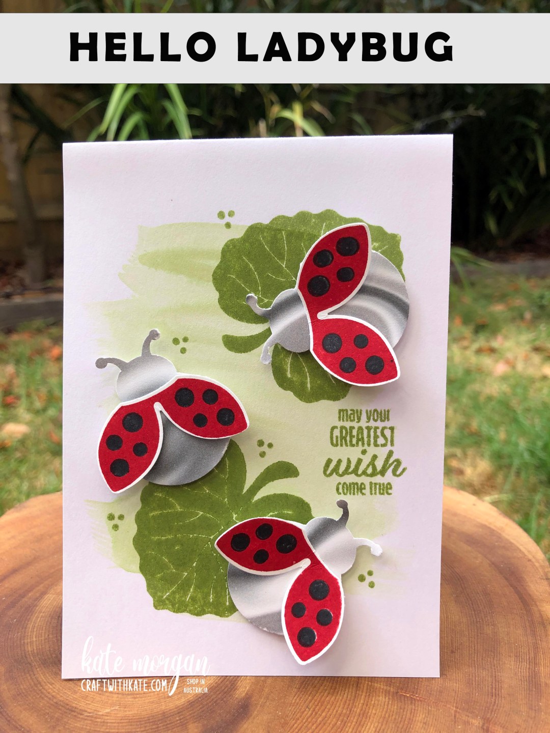 CCBH Pear Pizzazz: Hello Ladybug – Kate Morgan, Independent Stampin Up ...