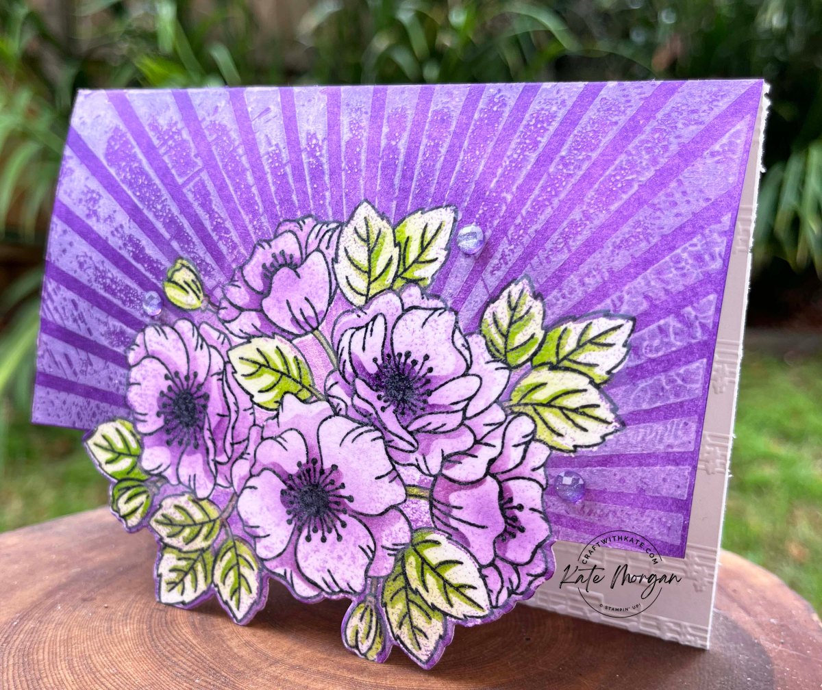 Parakeet Party CCBH: Watercolor Melon & Enduring Beauty Partial die ...