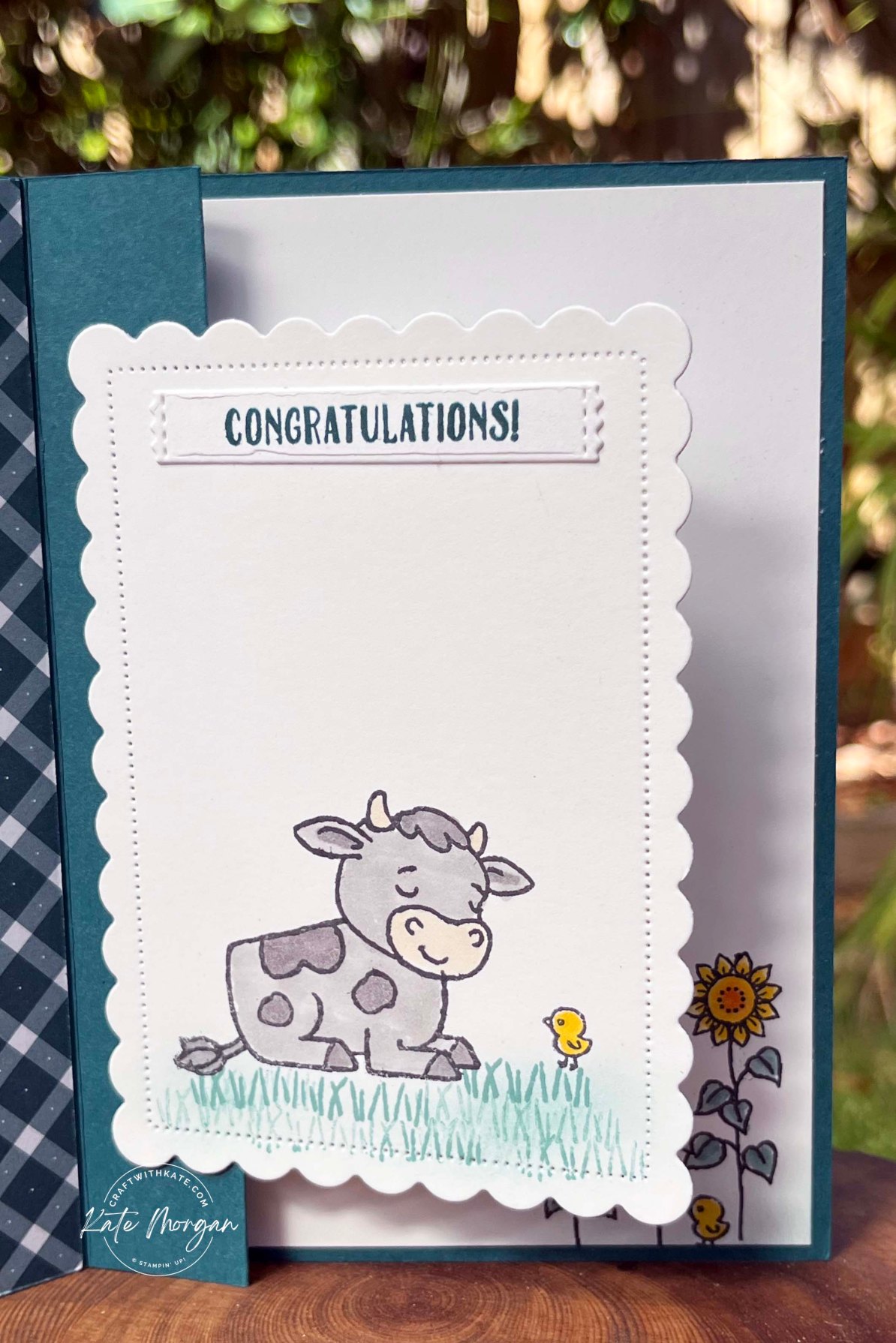 Pretty Peacock CCBH: Cutest Cows with Glorious Gingham – Kate Morgan ...