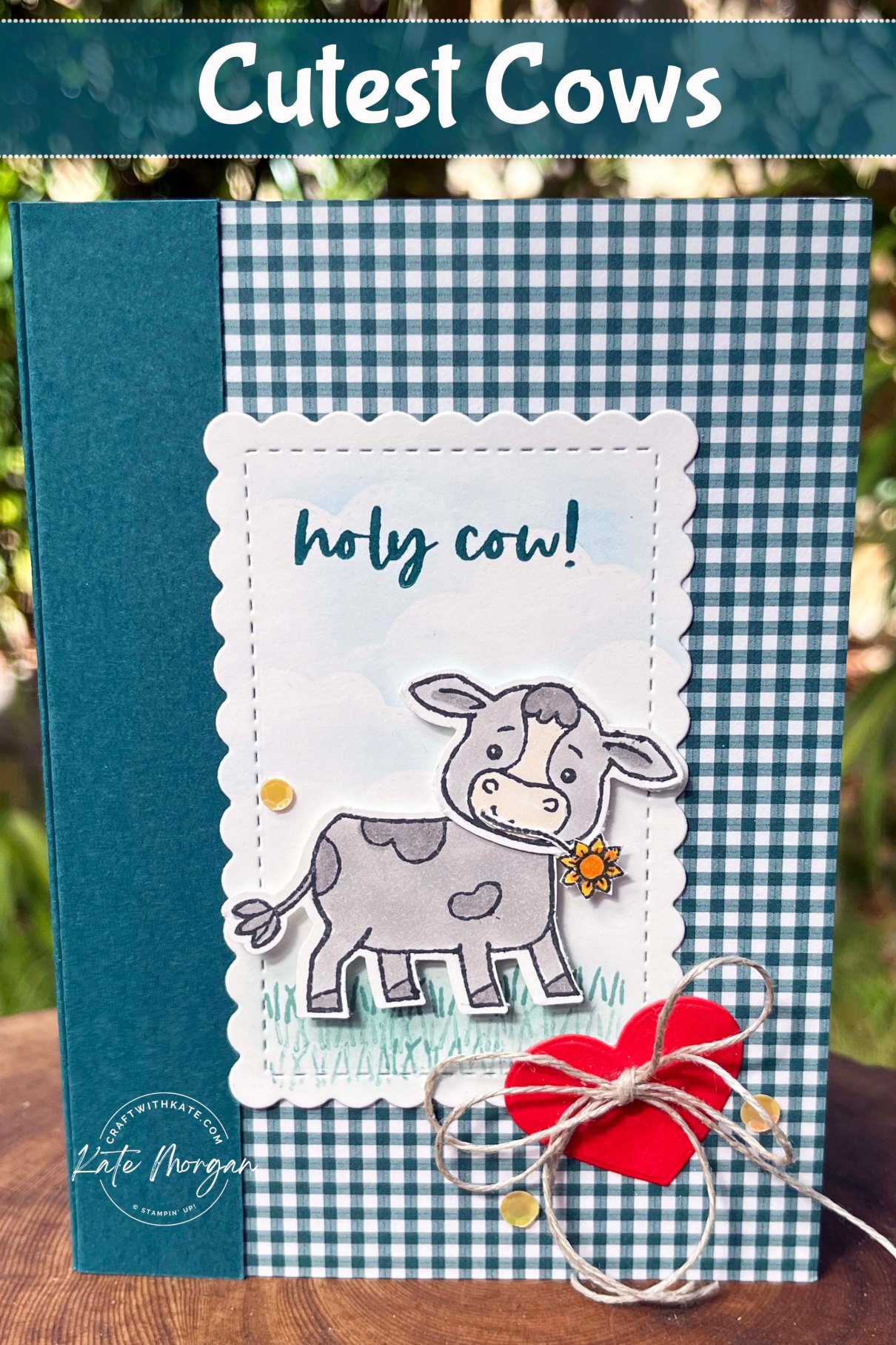 Pretty Peacock CCBH: Cutest Cows with Glorious Gingham – Independent ...