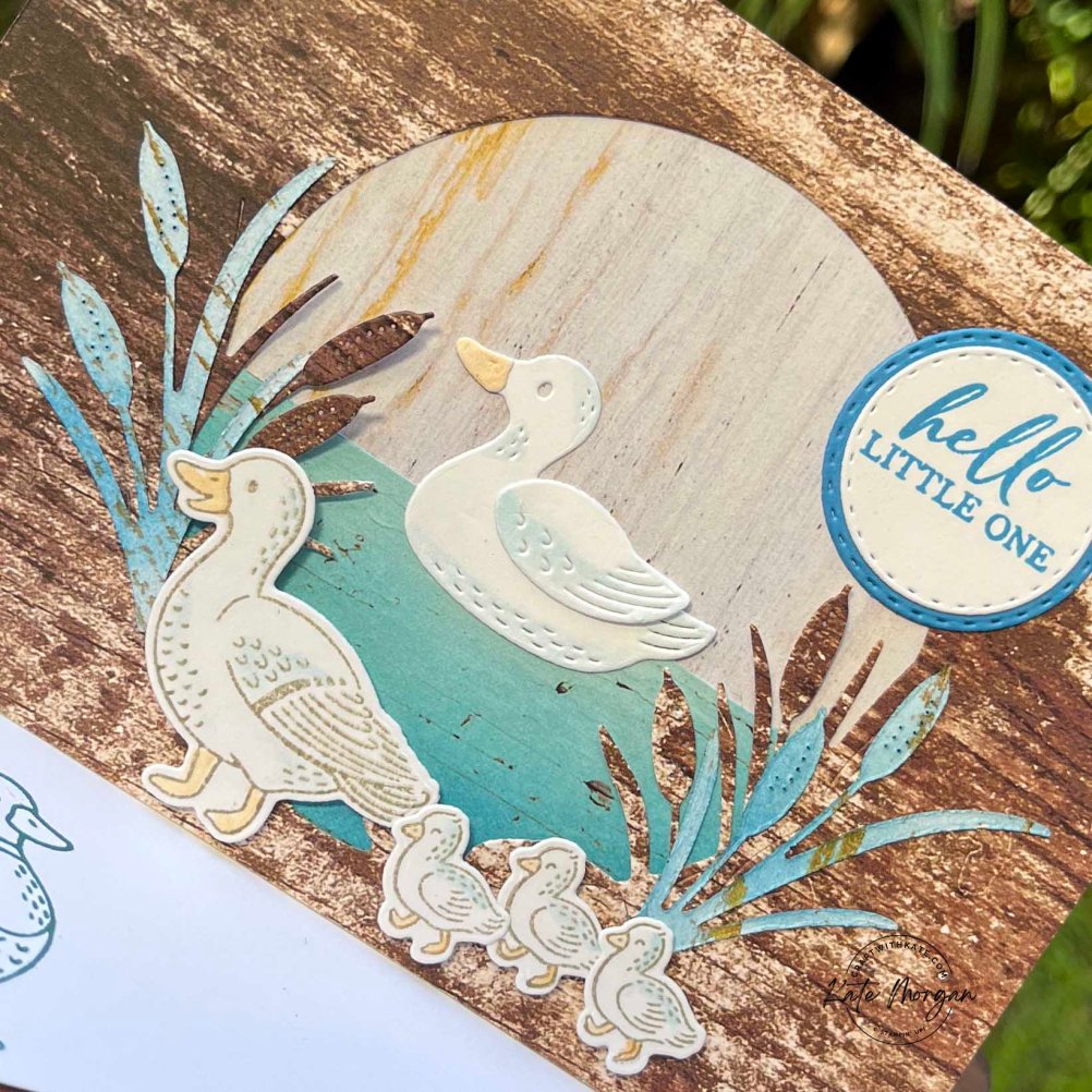 Azure Afternoon: Spotlight in Nature Watercolour & Baby Duckling card ...